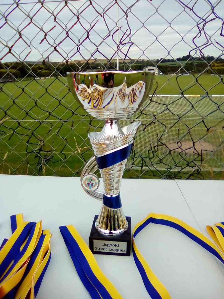 Lisgoold Ladies Football News 30/17 – East Cork Ladies Gaelic Football