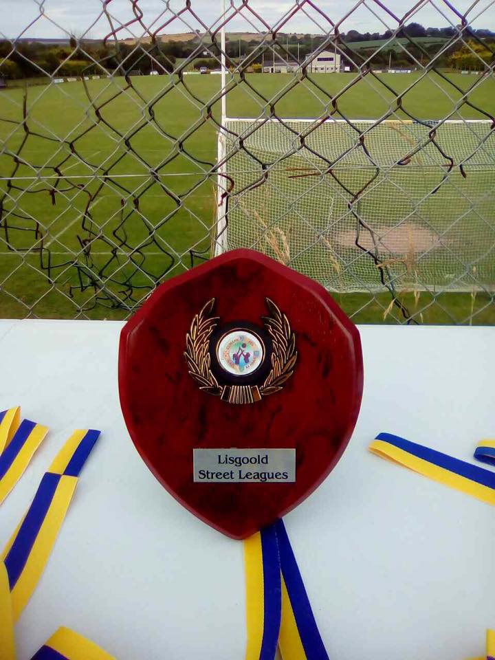 Lisgoold Ladies Football News 30/17 – East Cork Ladies Gaelic Football